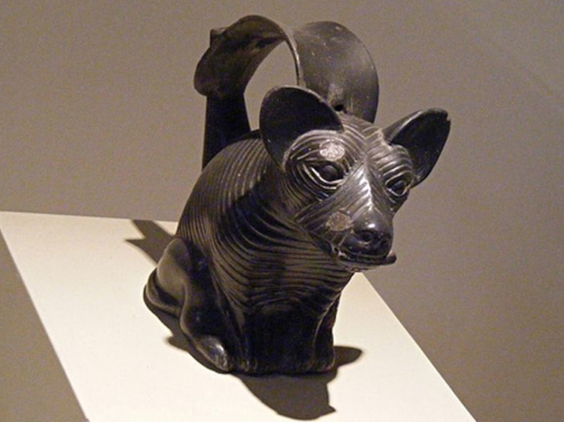 El Fascinante Perro Peruano sin Pelo: Una de las Razas más Exóticas y ...